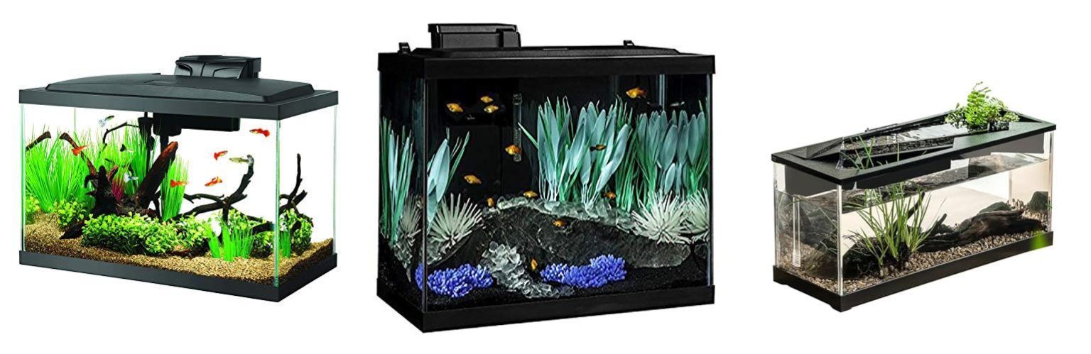 Best Fish Tanks - Top 5 Picks & Review